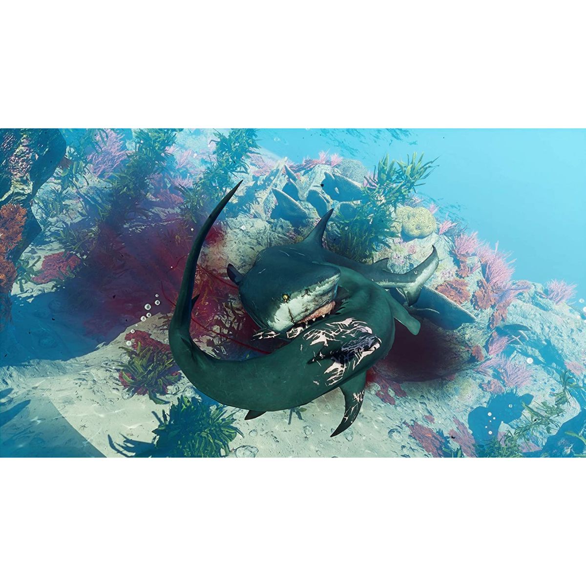 Maneater - Xbox One / Xbox Series X|S - Game Games - A Loja Mais POP do ...