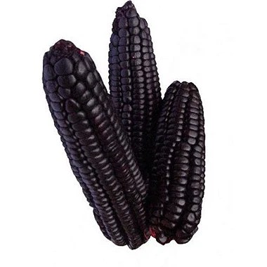 Milho Roxo Peruano / Maíz Morado Milho Preto 500g - Produtos Peruanos