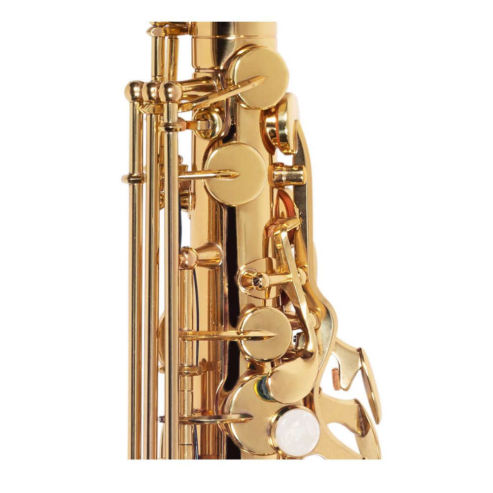 Saxofone Alto Michael WASM30N Eb - Krunner - Loja de Instrumentos ...