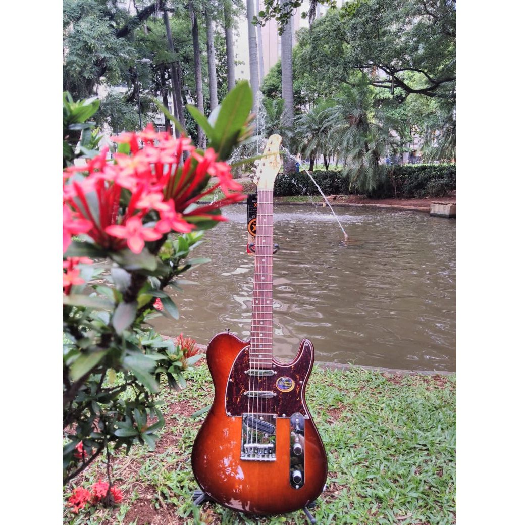 Guitarra Tagima Telecaster T900 HB Made in Brazil - Krunner - Loja de ...