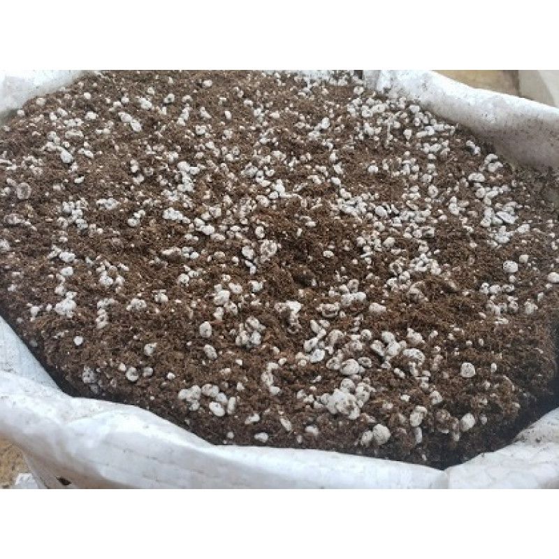 SUBSTRATO SPHAGNOTEC 50/50 (TURFA/PERLITA) SACO 50 LITROS - BUD ...