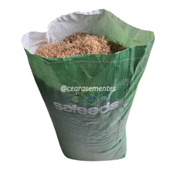 Capim Buffel - Ceará Sementes