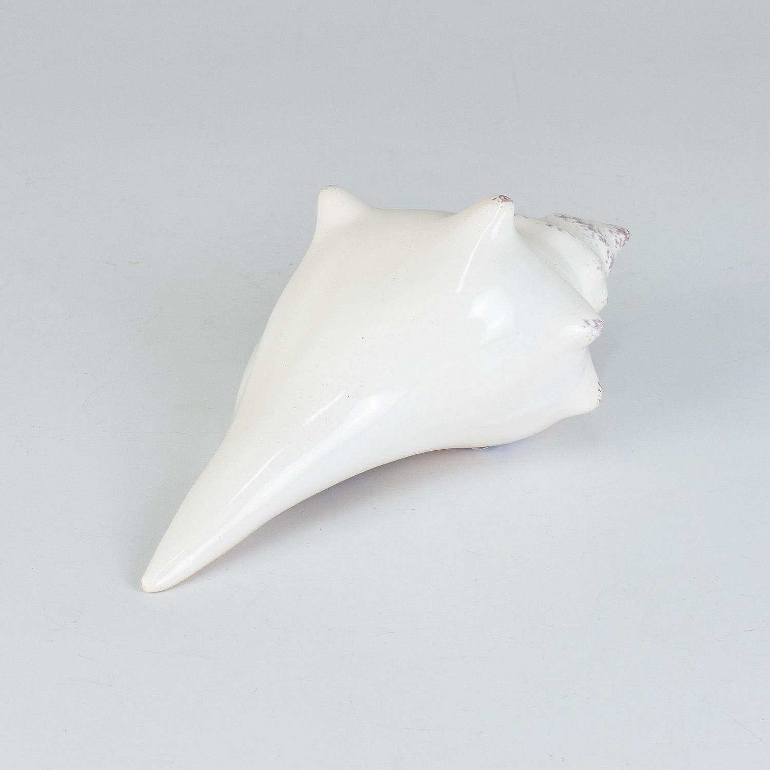 Concha Buzios Branco - Loja de Artigos para Decoração - Kasa Ideia