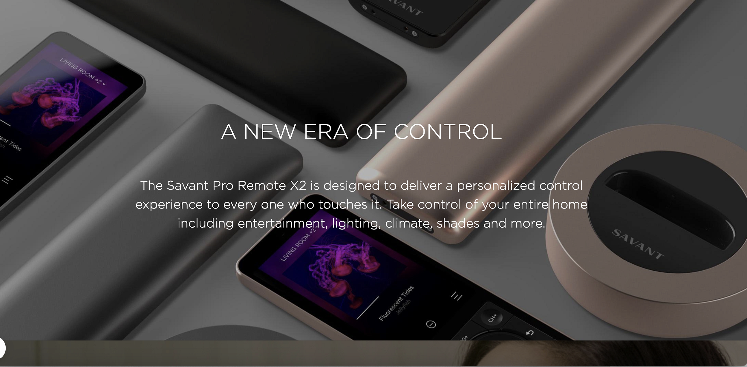 SAVANT PRO REMOTE X2 SPACE GRAY - Habitat