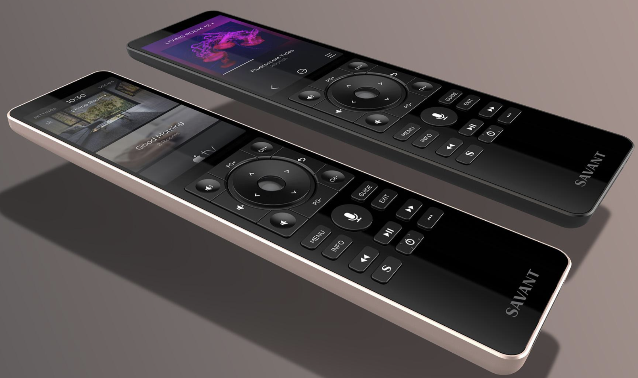 SAVANT PRO REMOTE X2 SPACE GRAY - Habitat