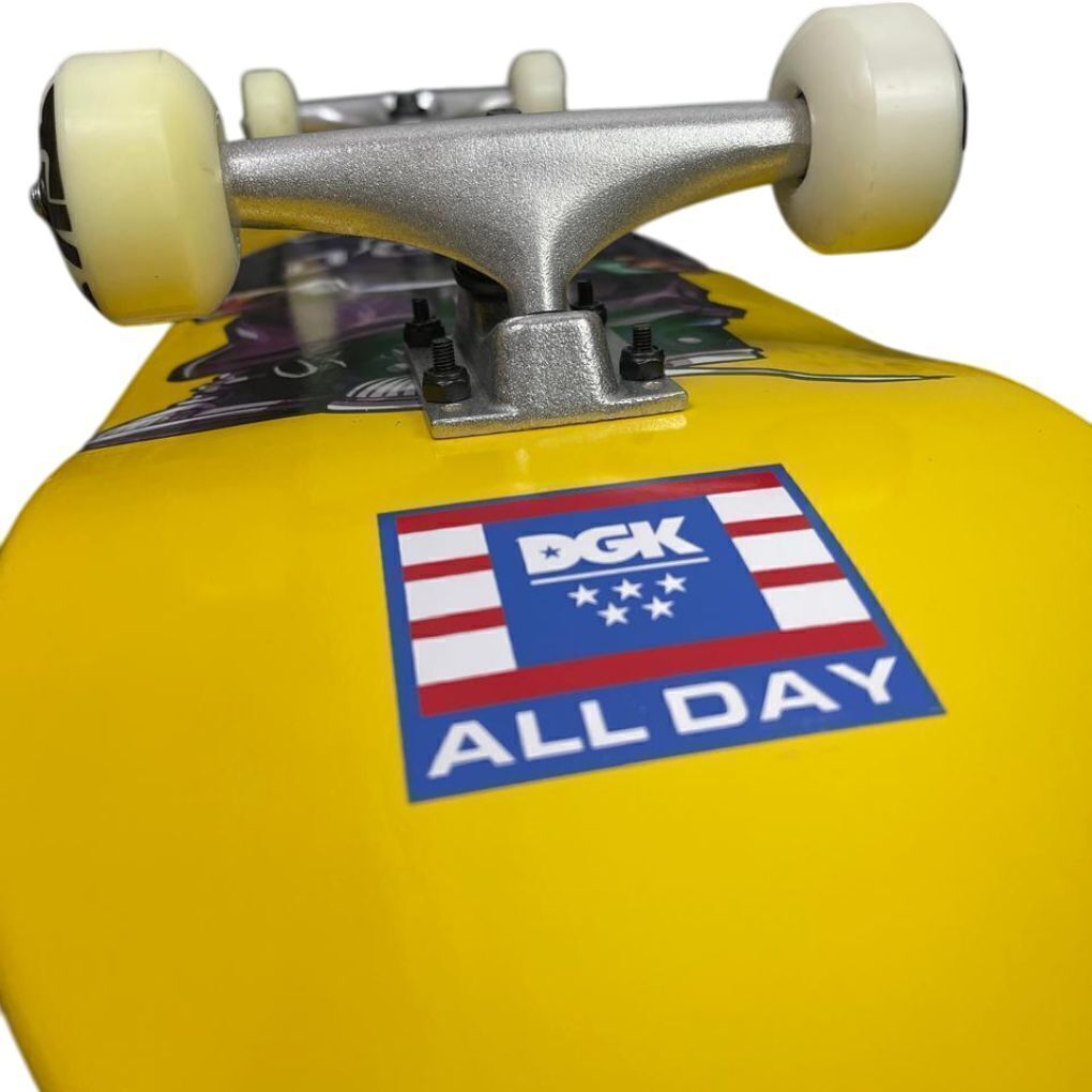 Skate Profissional Montado de 8.25 DGK All Day - Virtual Skate Shop | A ...