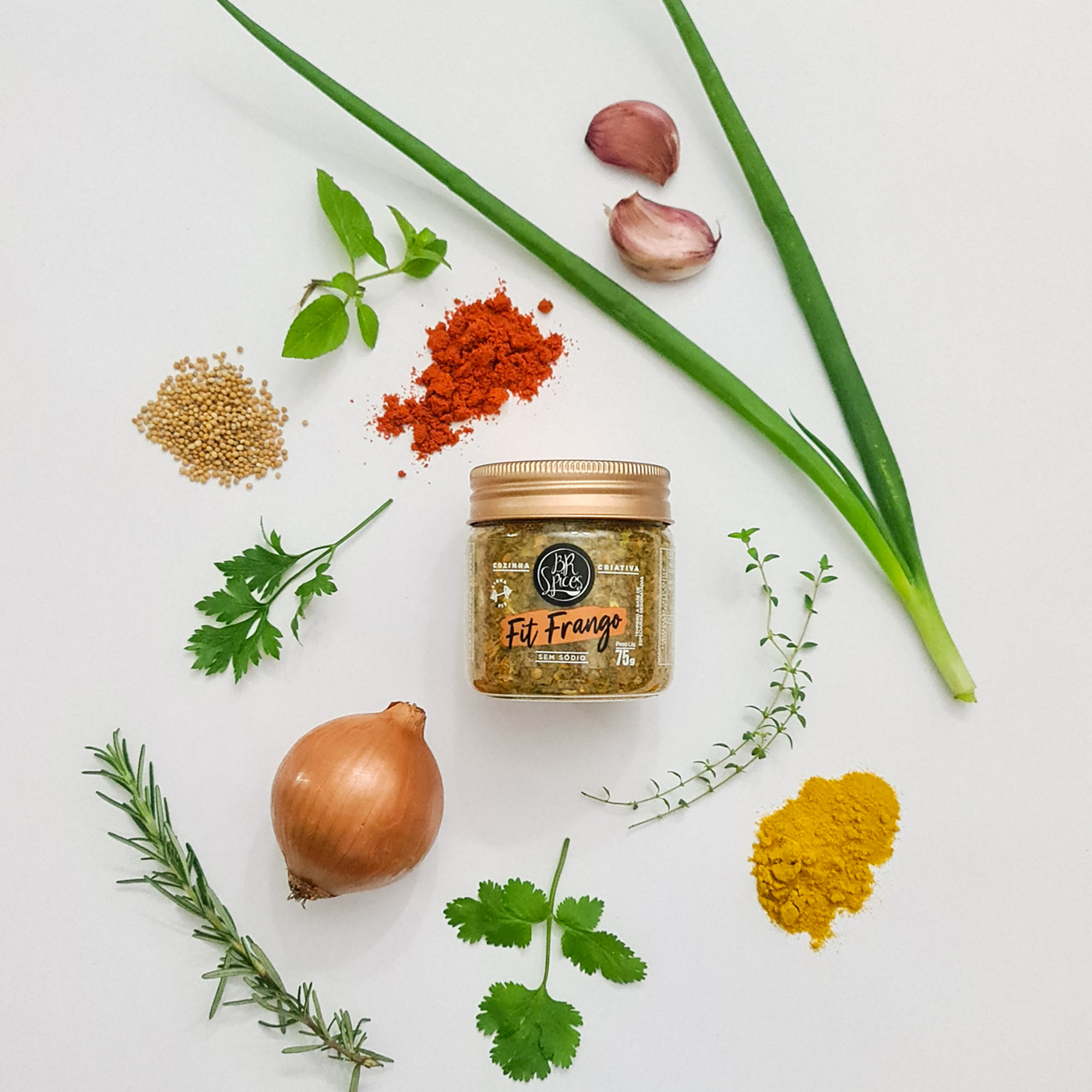 Tempero Fit Frango BR Spices Pote 75G - BR Spices - Loja Online