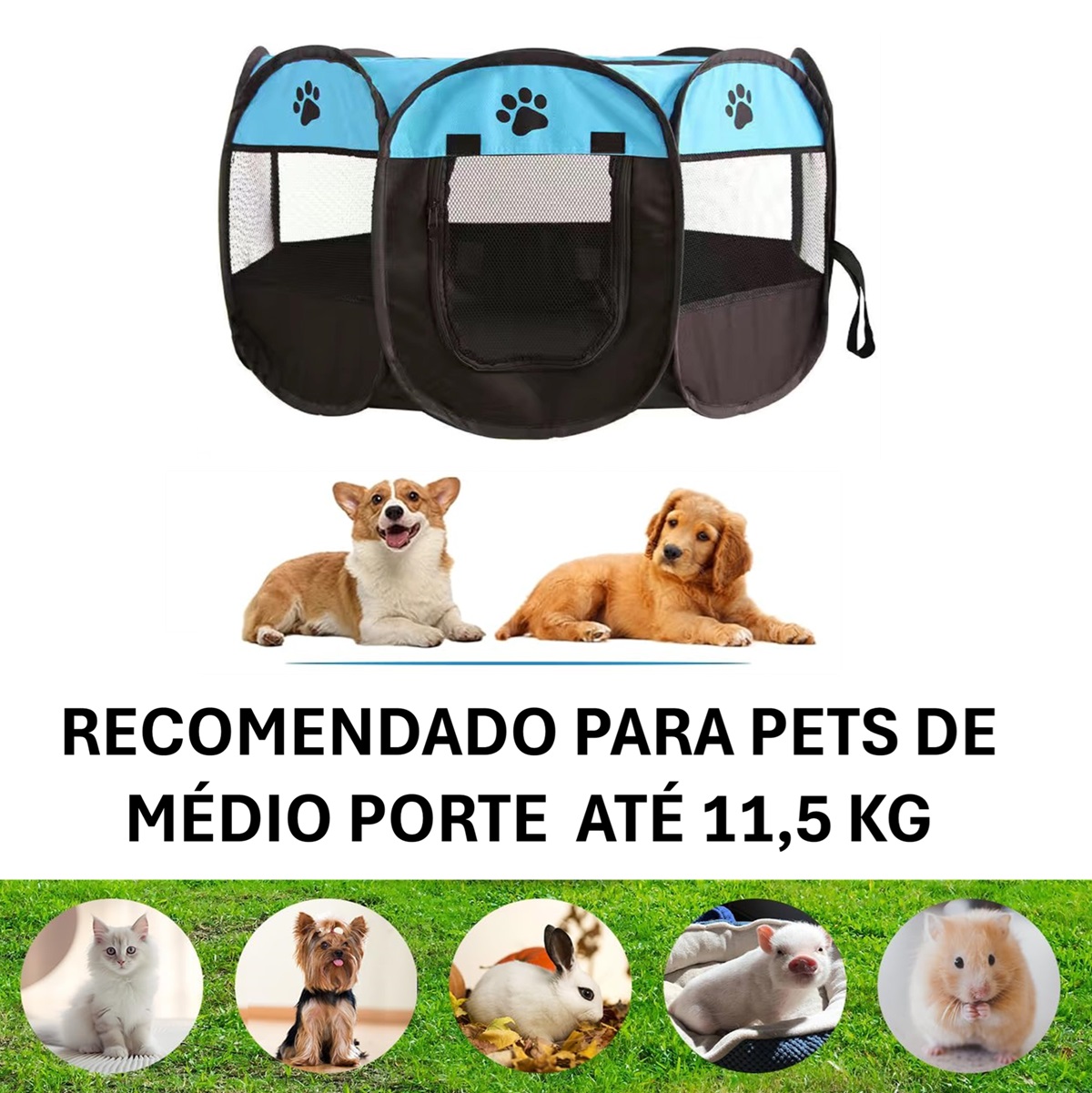 Cercado Pet Dobrável Cercadinho Cães Gatos 88 x 60cm Azul - Atena Mix ...