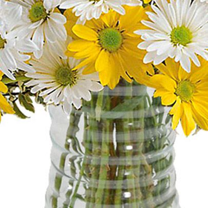 Luxuoso Arranjo de Margaridas Brancas e Amarelas - Fênix Floricultura ...