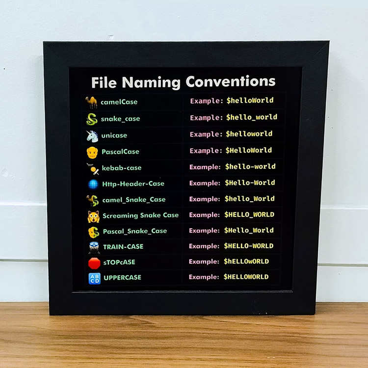 Quadro Naming Conventions Types Caneca Do Dev Canecas E Produtos De