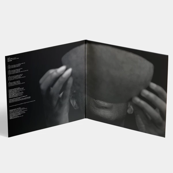 VINIL 2X LP GILBERTO GIL - LUMINOSO - Rua6 Graffitishop