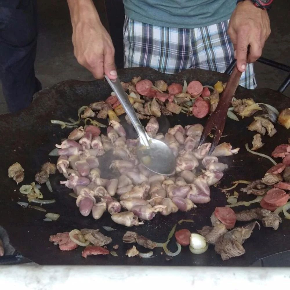 Disco de Arado Original 63 a 67 cm com Alças GG - Máquinas ...