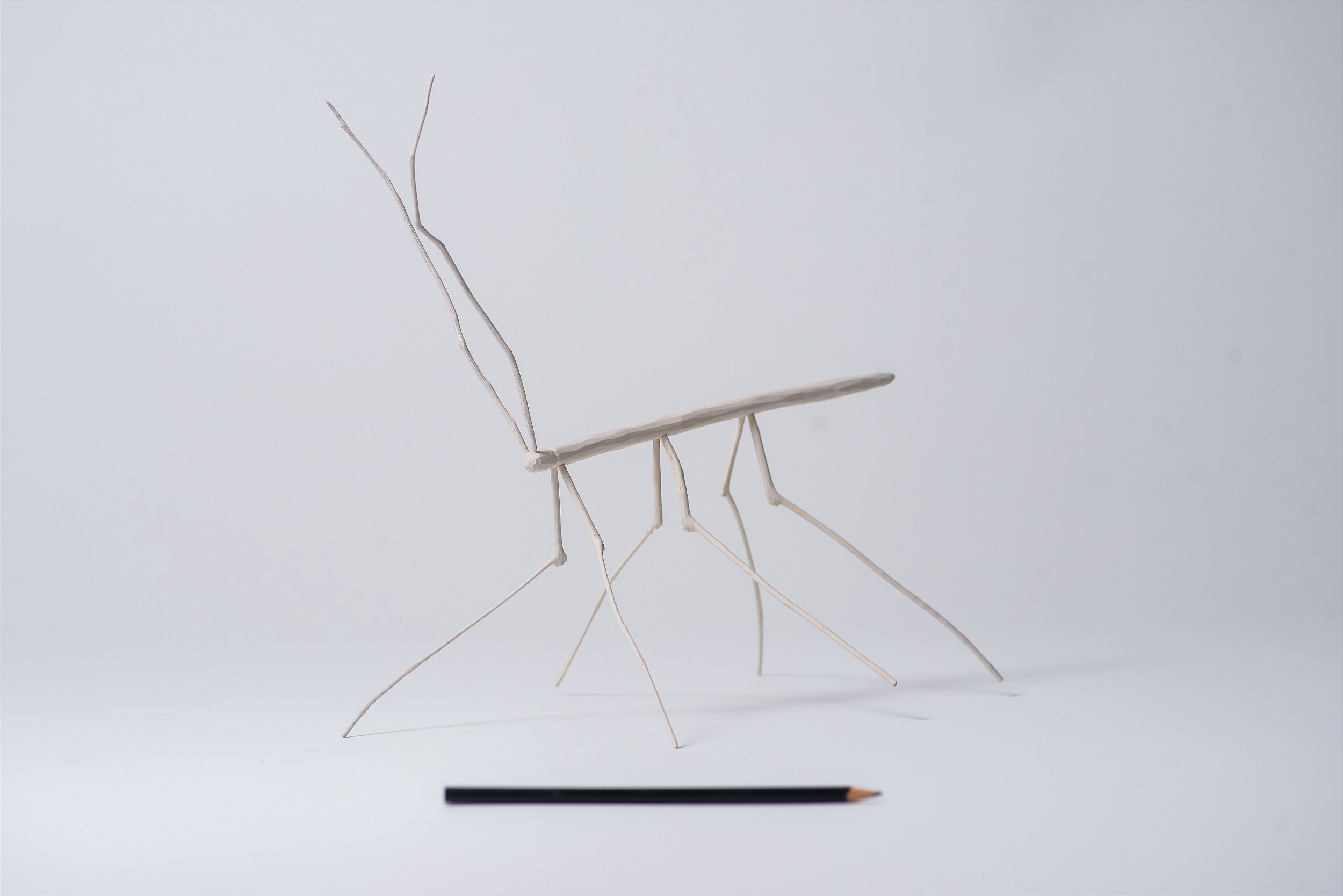 Bicho-pau 02 por Márcio Lira - Loja Oca