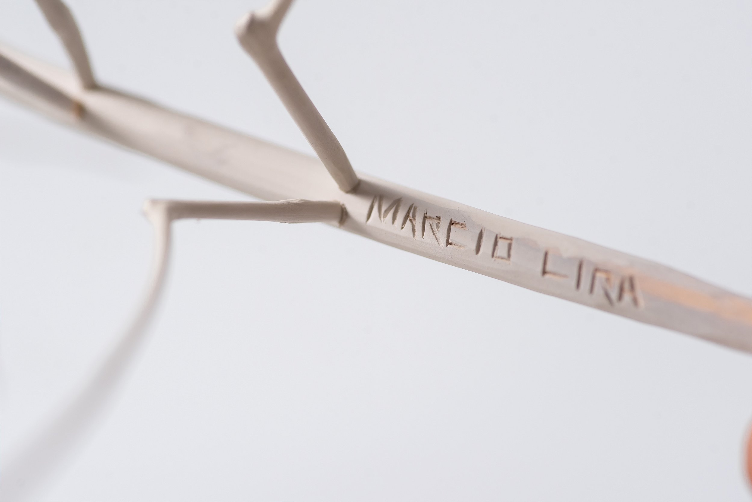 Bicho-pau 02 por Márcio Lira - Loja Oca