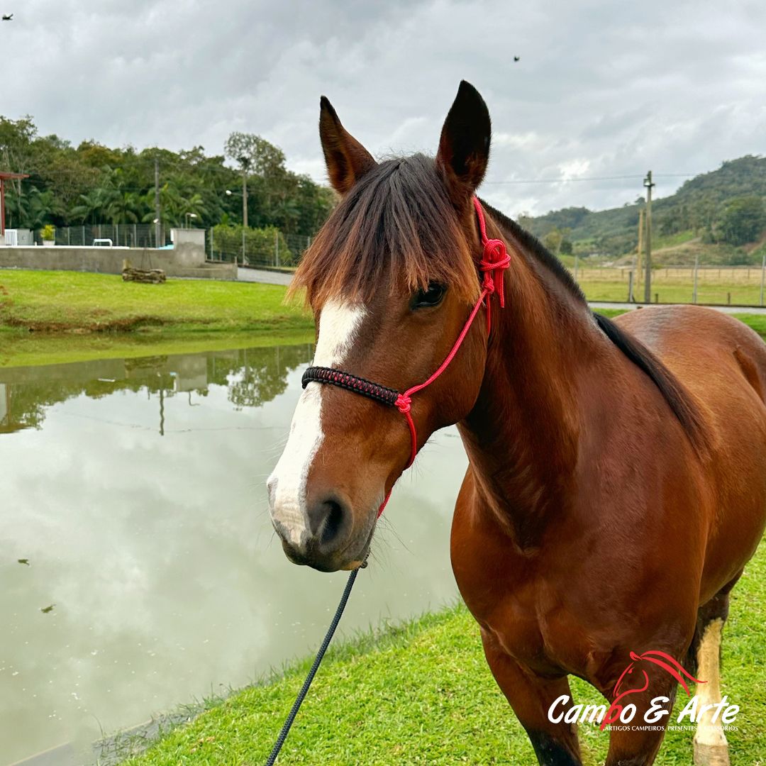 Cabresto 7 Nós Vermelho e Preto - Campoearte