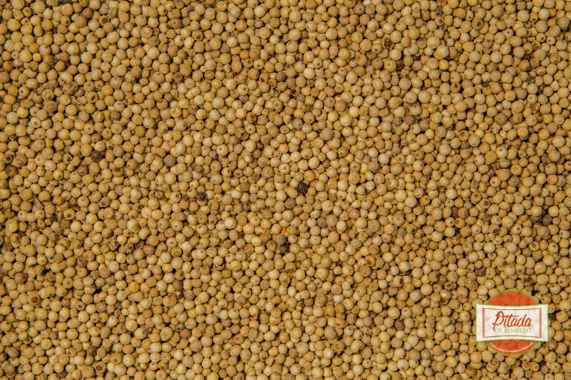 Pimenta Branca - Pitada de Tempero | Loja Online