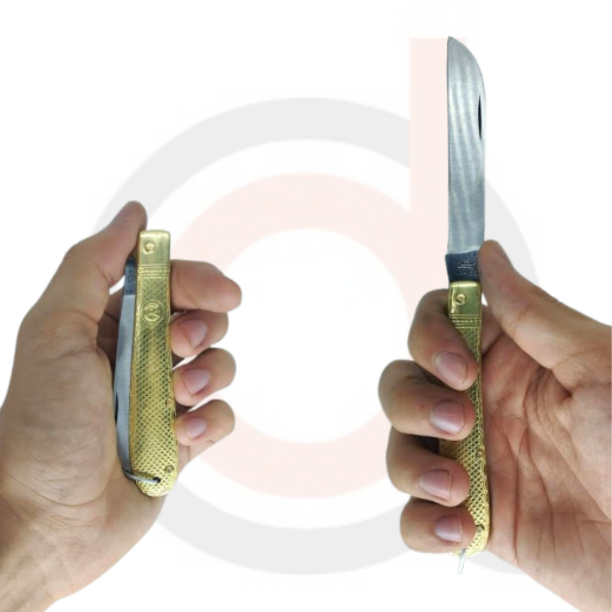 Canivete Escama de Peixe Dourado Corneta – Gift Box Elegante ...