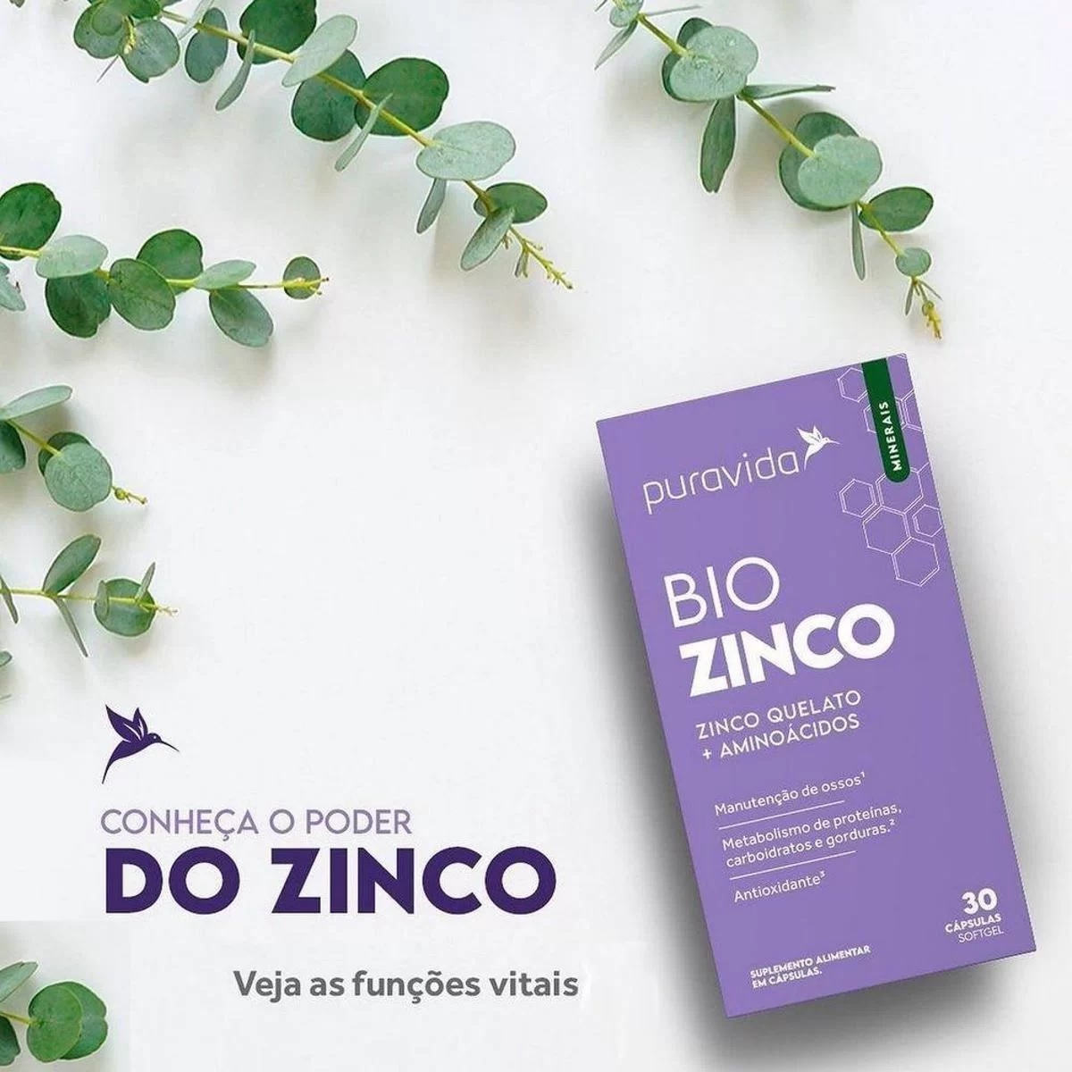 Bio Zinco - Puravida 30 Cápsulas - BS Nutrition - Distribuindo sabor e ...