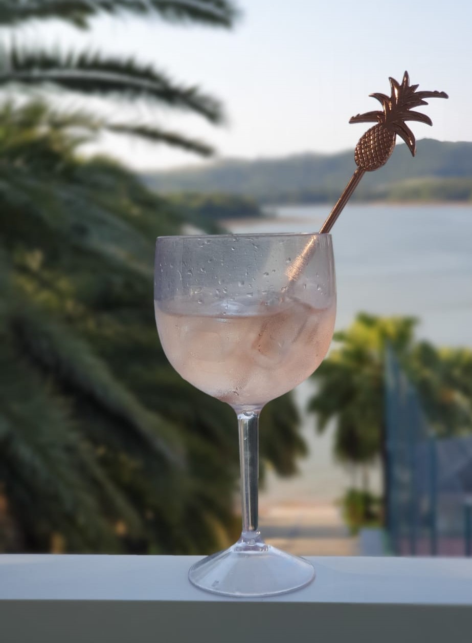 Copo de Gin Acrilico - Copo para Gin Tonica - KrystalON Copo Acrilico e ...