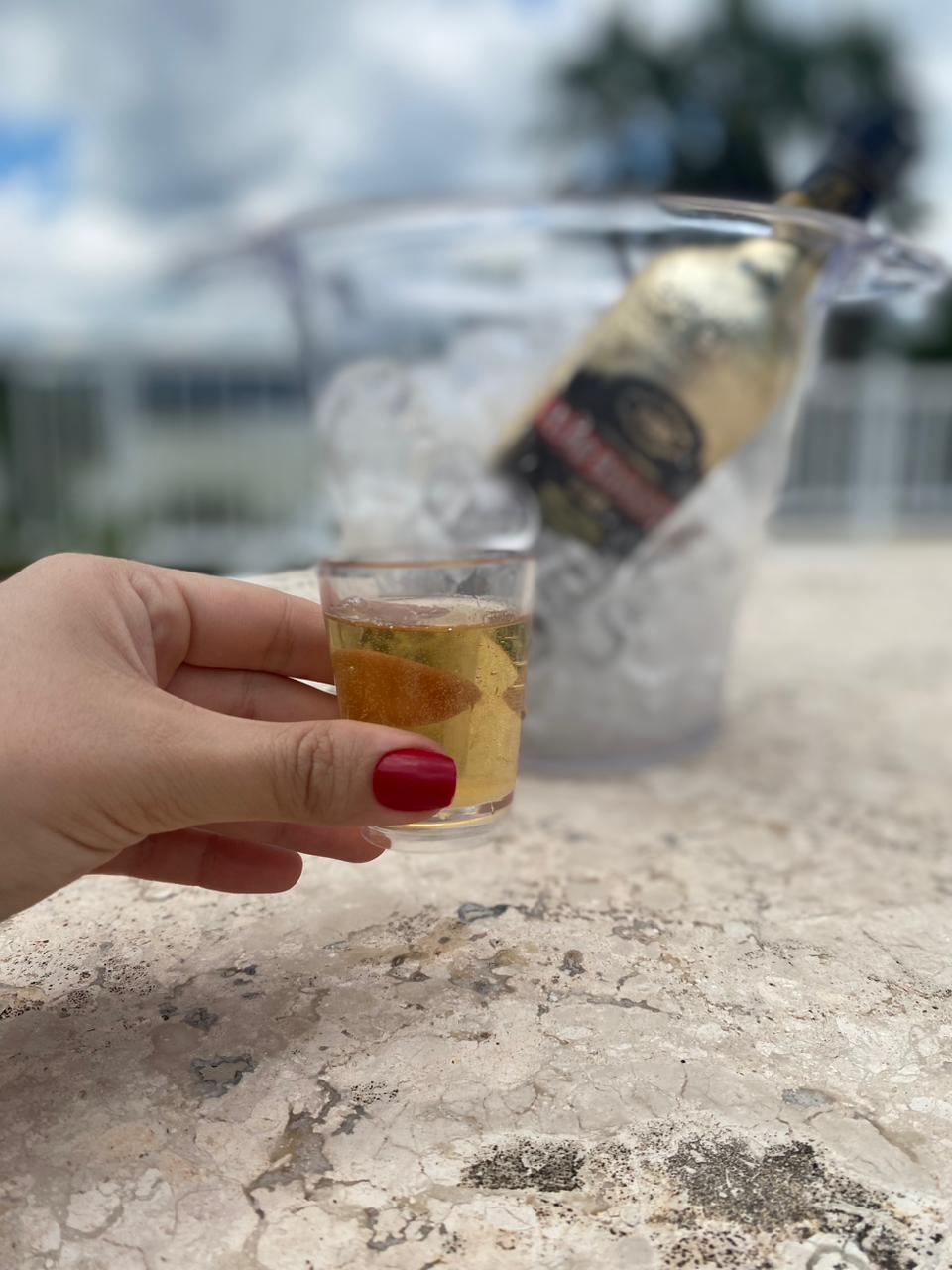 Copo ou Copinho de Shot Acrilico - KrystalON Copo Acrilico e Taça Gin ...