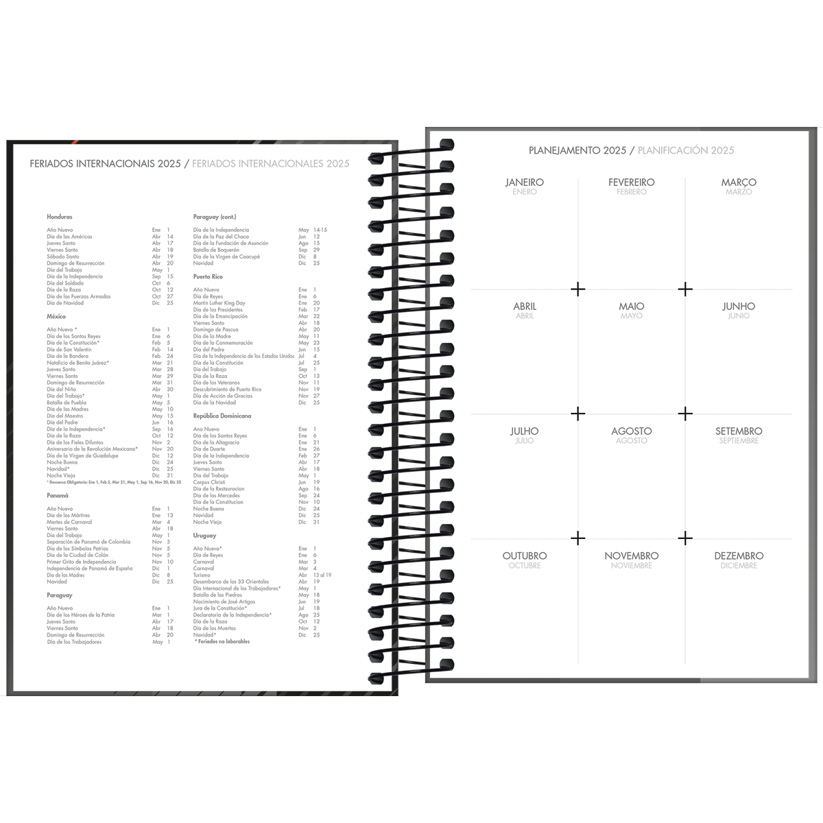 Agenda 2026 Executivo Spot Diária Espiral Capa Dura M5 (12,9 X 18,7cm ...