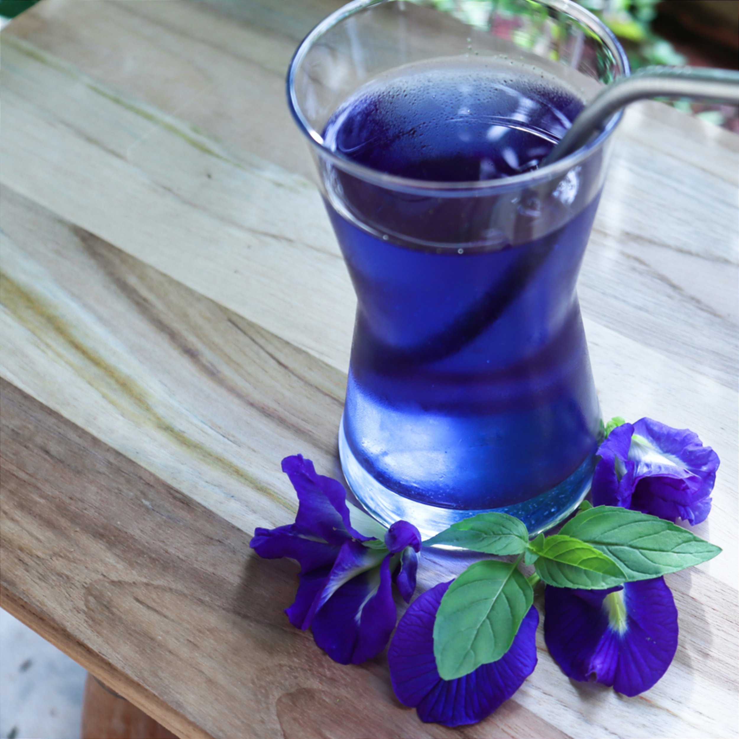 RefresChá 9g Pouch- Blend com Flor Fada Azul e Hortelã Pimenta - Flor ...