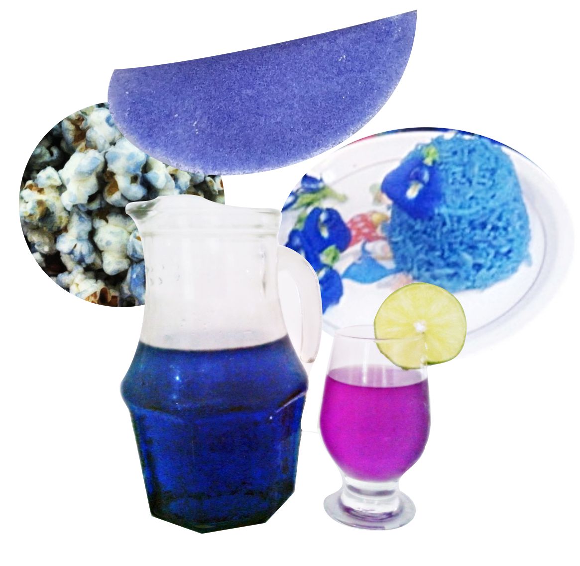Flor Fada Azul 45g, Chá Azul de Clitoria ternatea (fada azul, cunhã, e ...