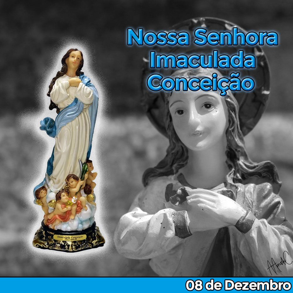 Imagem Nossa Senhora Imaculada Conceição 20 CM Escultura em Resina ...