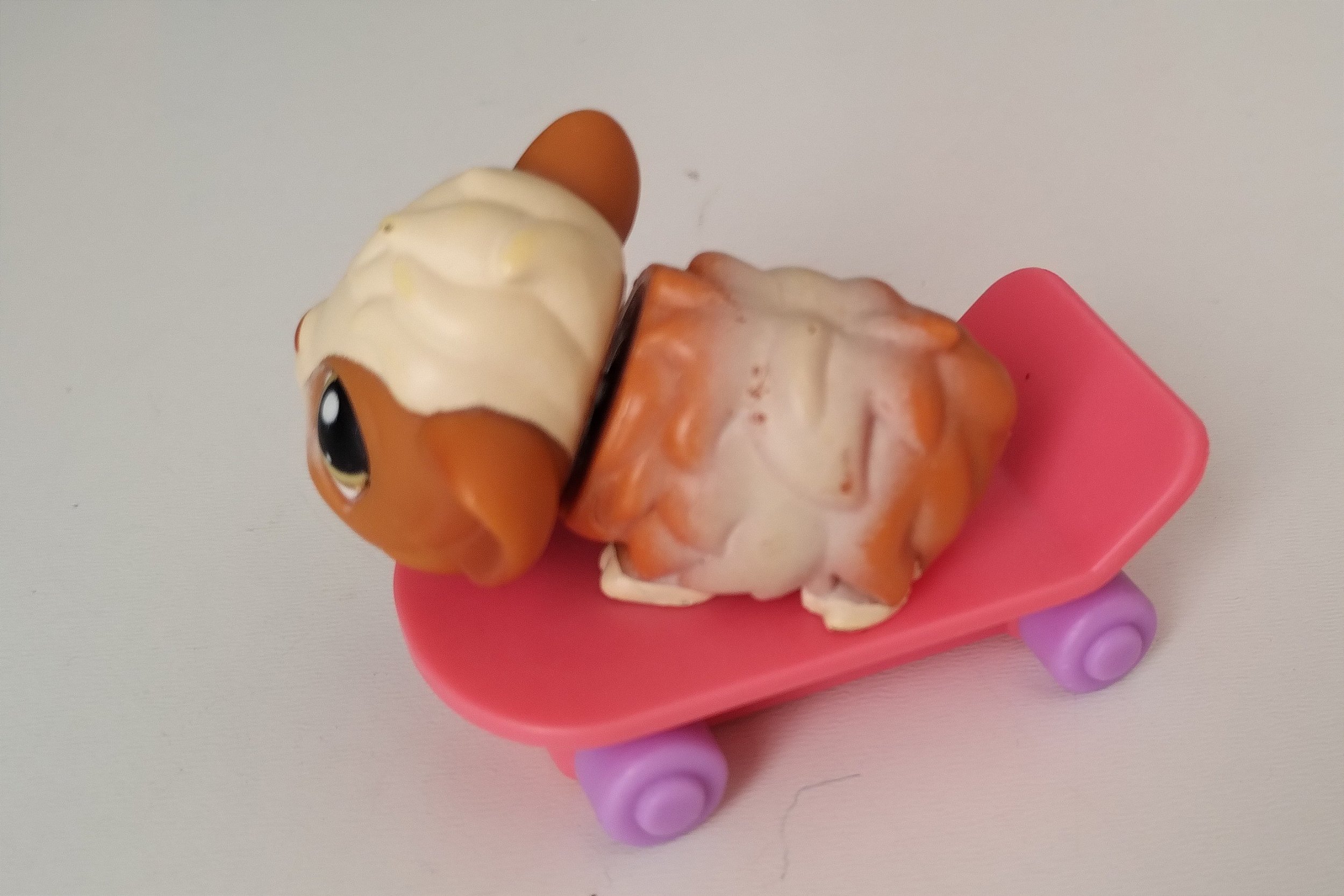 Littlest Pet Shop LPS #213 porquinho da India imã em uma das patas no ...