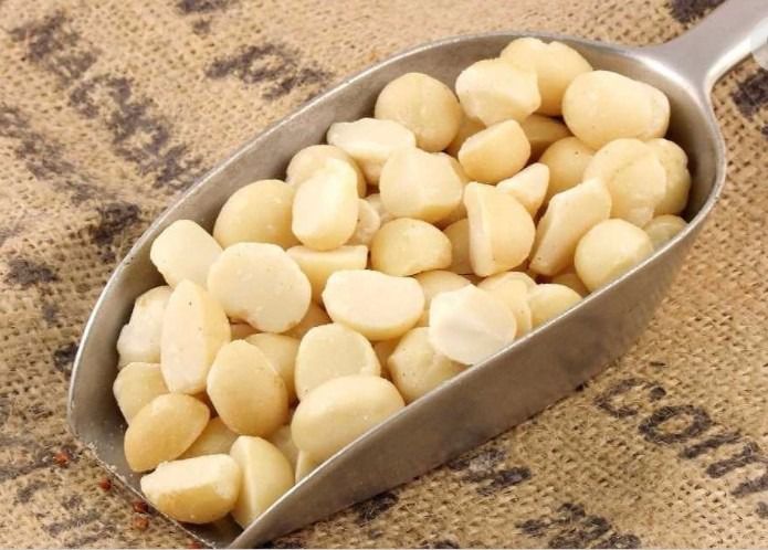 MACADÂMIA CRUA PREMIUM - GRANEL, EMBALADA A VÁCUO, COM LAUDO - Armazém ...