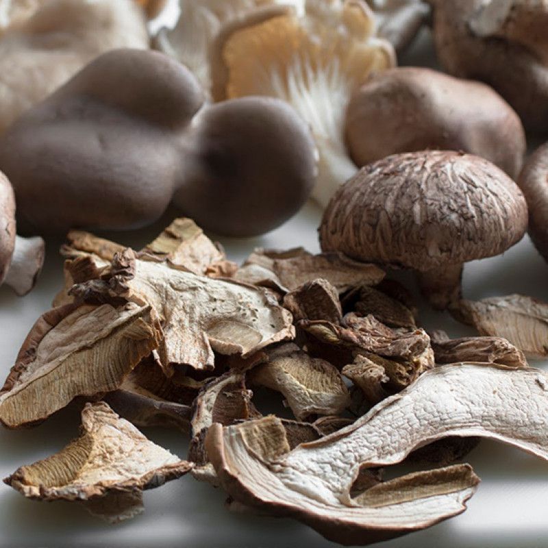 FUNGHI SECO CHILENO - Armazém Santa Helena | Grãos, Cereais e Economia