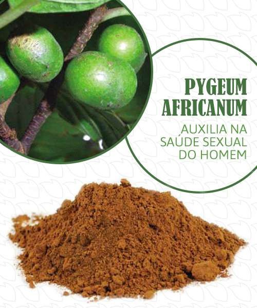 PIGEUM AFRICANO PURO EM PÓ (Pygeum Africanum) - COM LAUDO DE QUALIDAD ...