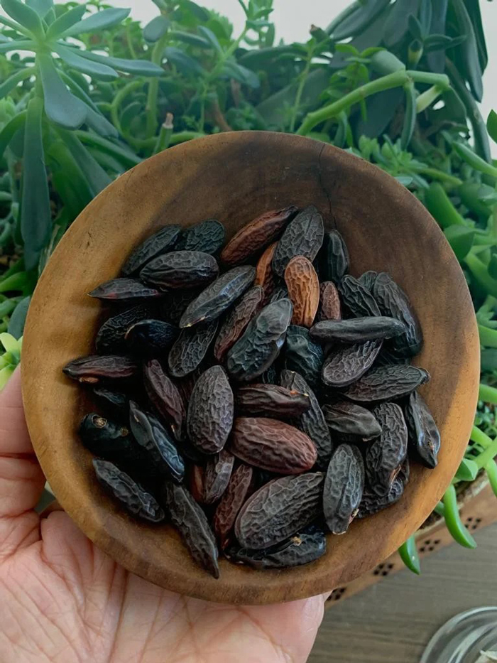 CUMARU AMAZÔNICO EM PÓ - Armazém Santa Helena | Grãos, Cereais e Economia