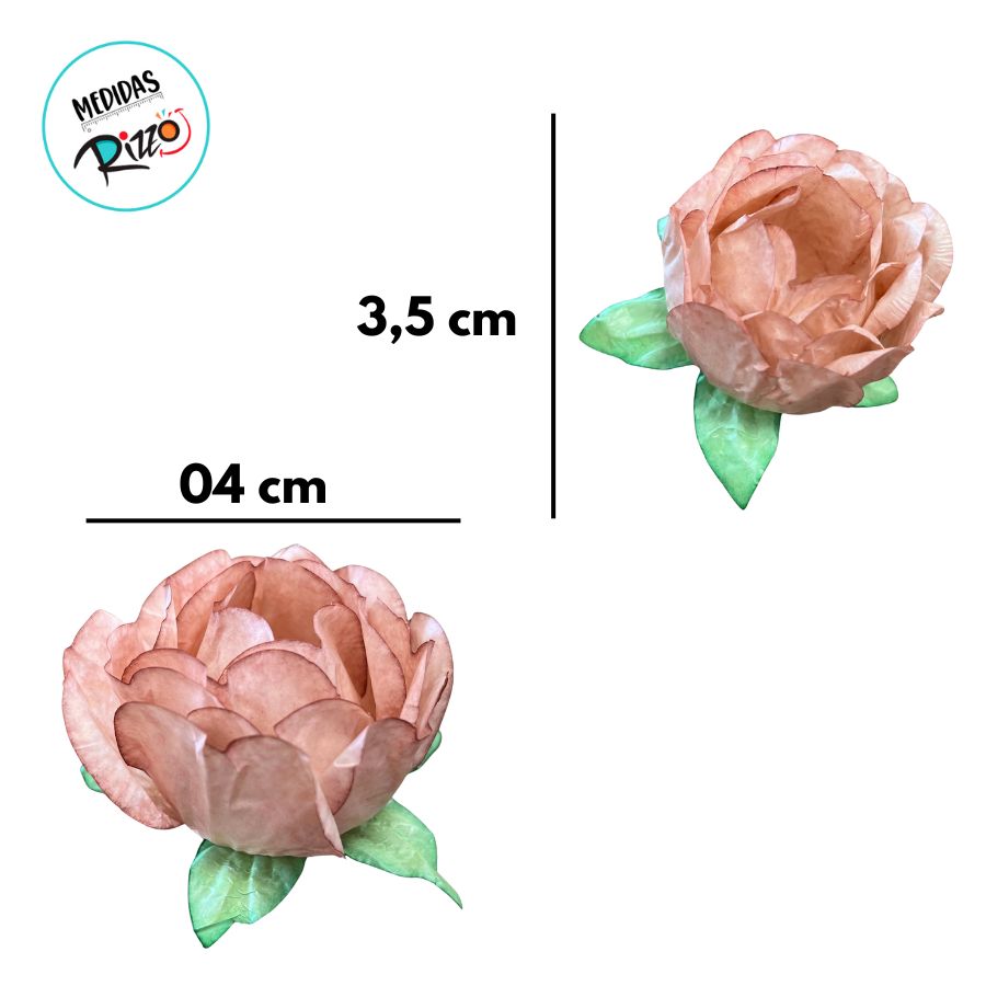 Forminha para Doces Finos - Bela Doce de Leite - 30 unidades - Decora ...