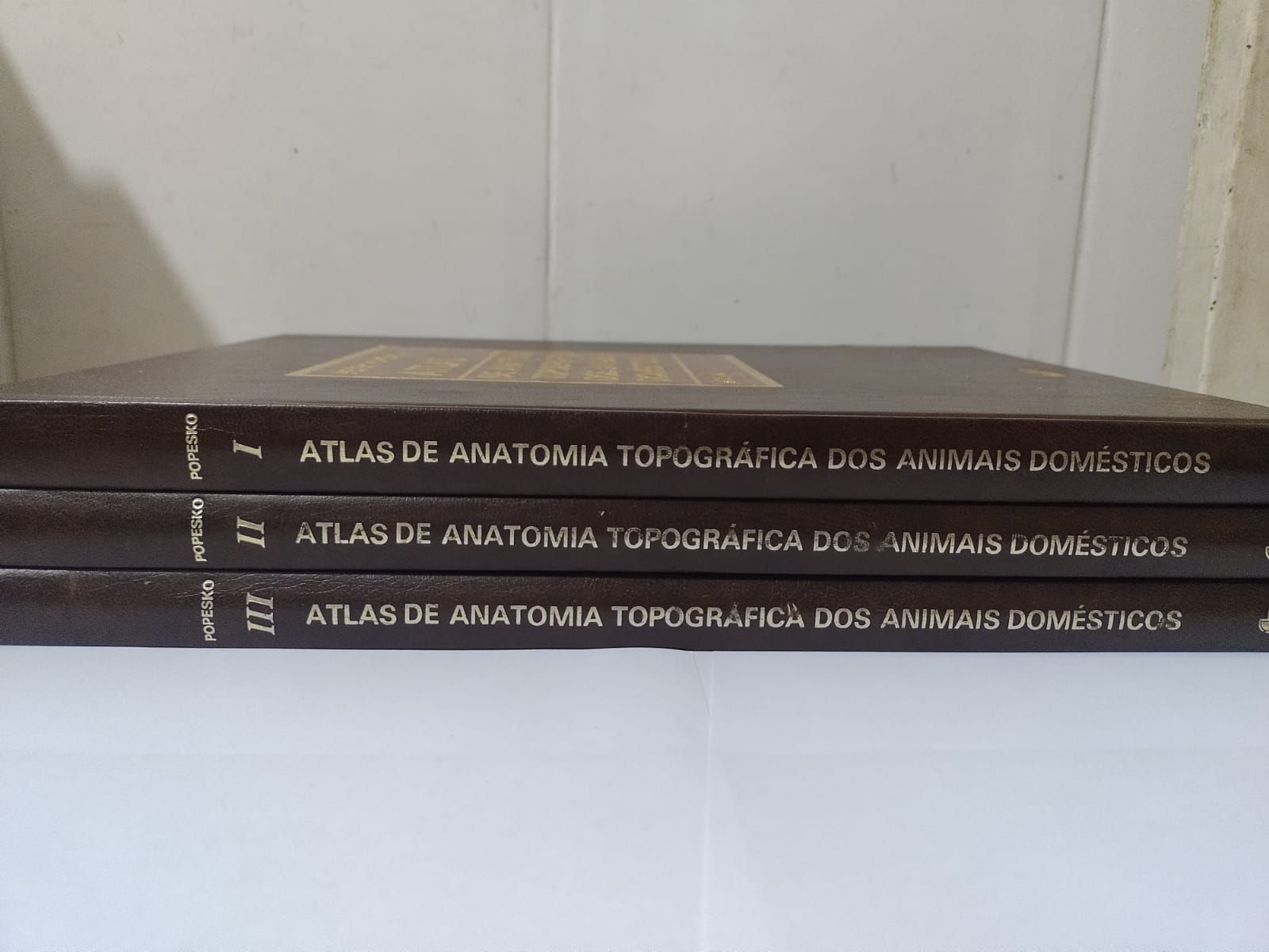 Coleção Atlas de Anatomia Topográfica dos Animais Domésticos - Peter ...