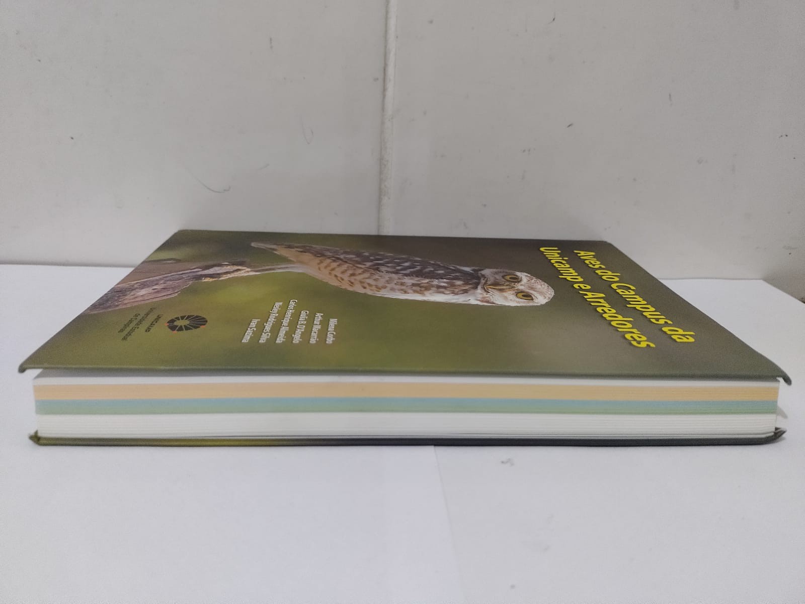 Aves do Campus da Unicamp e Arredores - Milena Corbo, Arthur Macarrão, entre outros ...