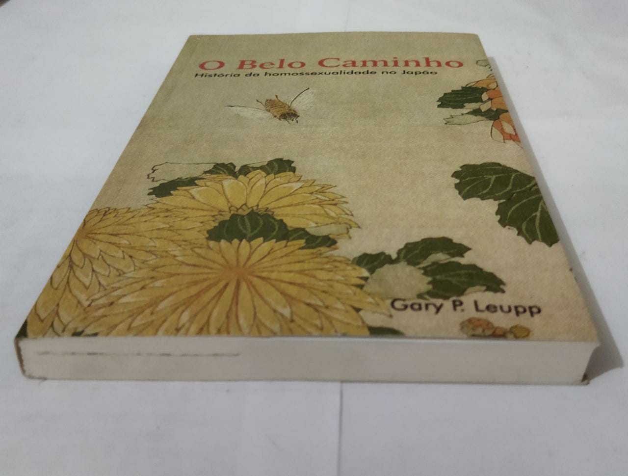 O Belo Caminho - Gary P. Leupp - Seboterapia - Livros