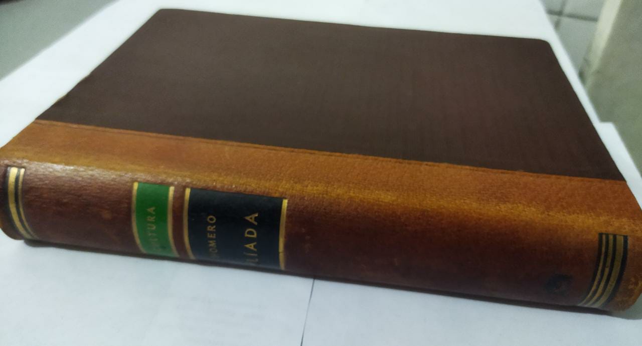 Homero - ILÍADA - Carlos Alberto Nunes - Seboterapia - Livros