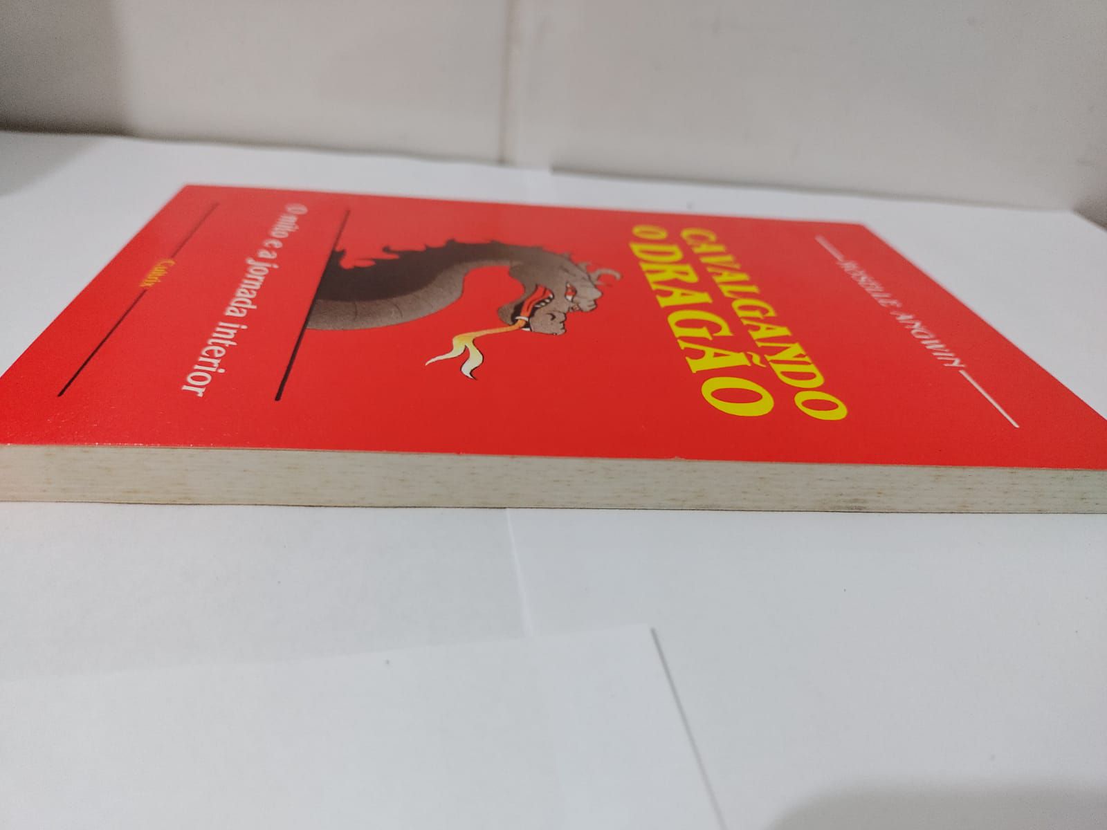 Cavalgando o Dragão - Roselle Angwin - Seboterapia - Livros