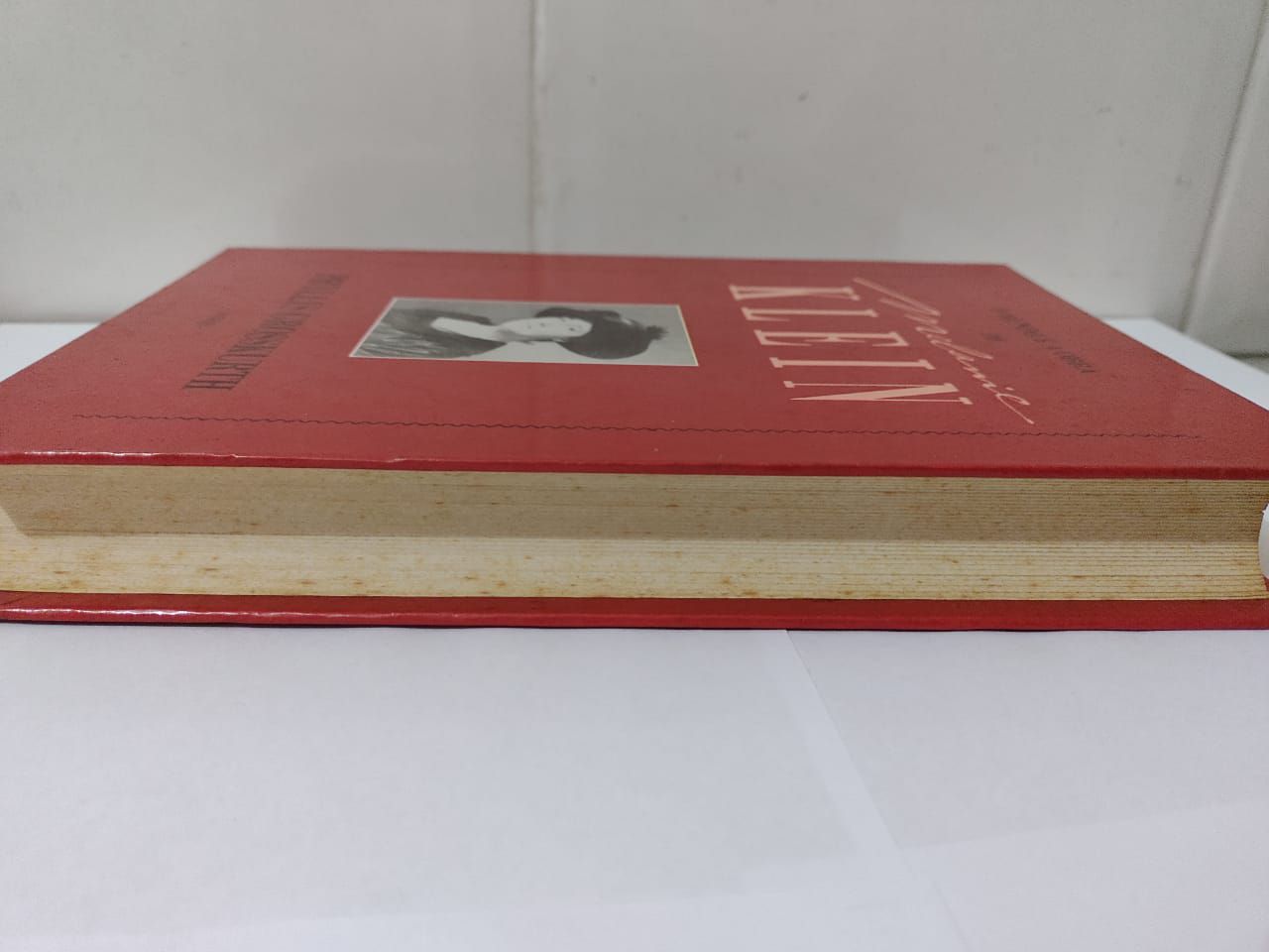 O Mundo e a Obra de Melanie Klein - Phyllis Grosskurth - Seboterapia - Livros