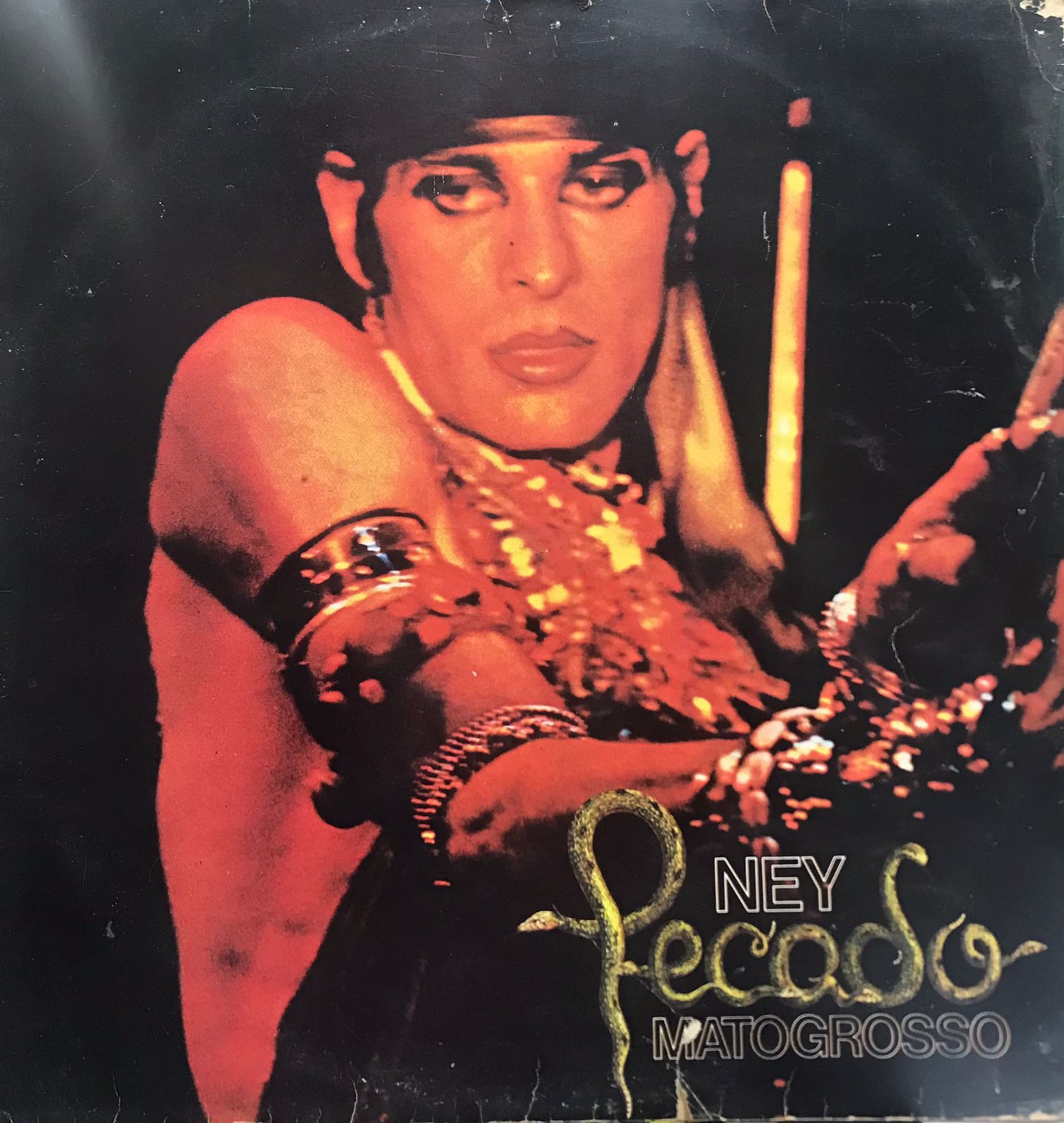 Ney Matogrosso – Pecado - Colecionadores Discos - vários títulos em Vinil, CD, Blu-ray e DVD