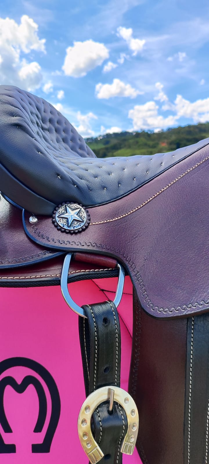 Sela Coqueluche Em Couro Legitimo Com Manta Mangalarga Marchador ...