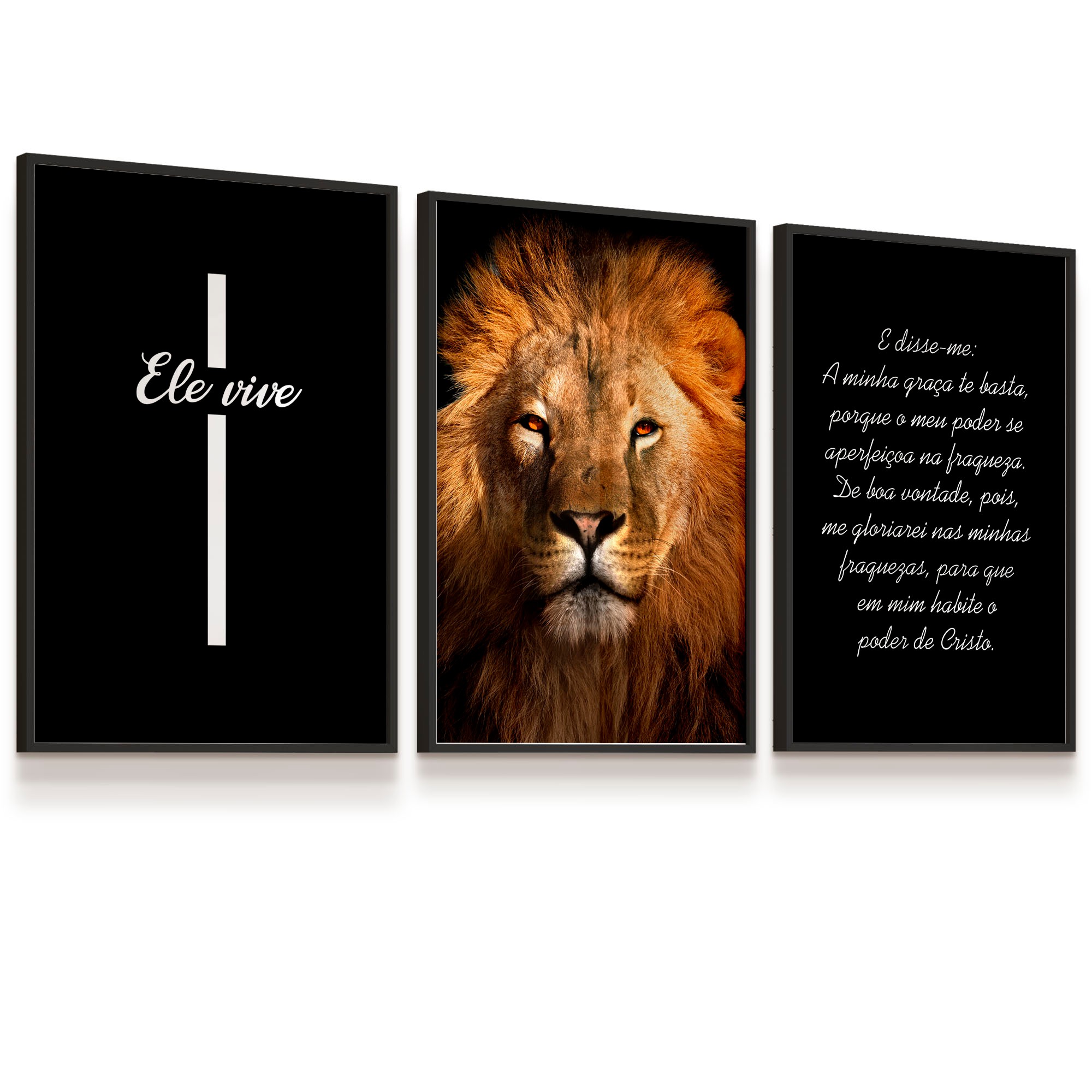 Quadro Decorativo Leão Cruz Ele Vive Religião Sua Graça Me Basta Kit 3 ...