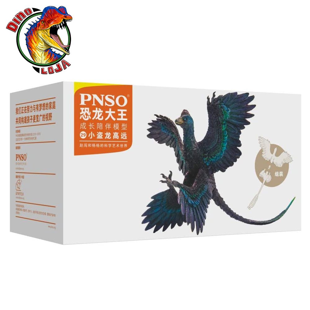MICRORAPTOR PNSO RÉPLICA DE DINOSSAURO CARNÍVORO EMPLUMADO MINIATURA DE ...