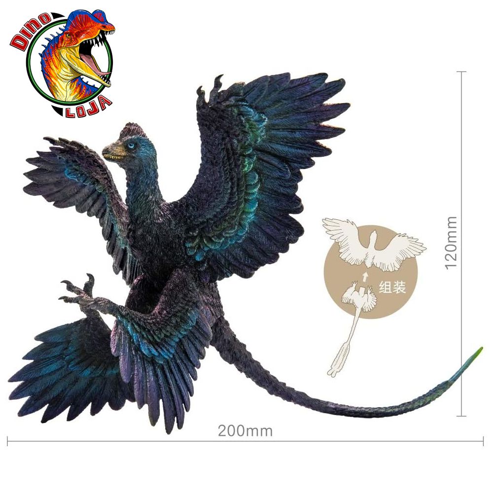 MICRORAPTOR PNSO RÉPLICA DE DINOSSAURO CARNÍVORO EMPLUMADO MINIATURA DE ...