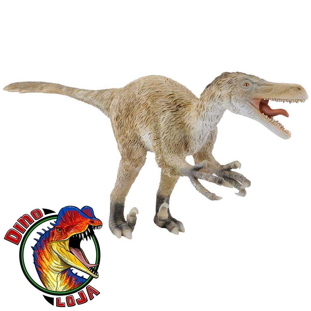 VELOCIRAPTOR MINIATURA DINOSSAURO DELUXE COLLECTA ESCALA 1:6 BONECO IM ...