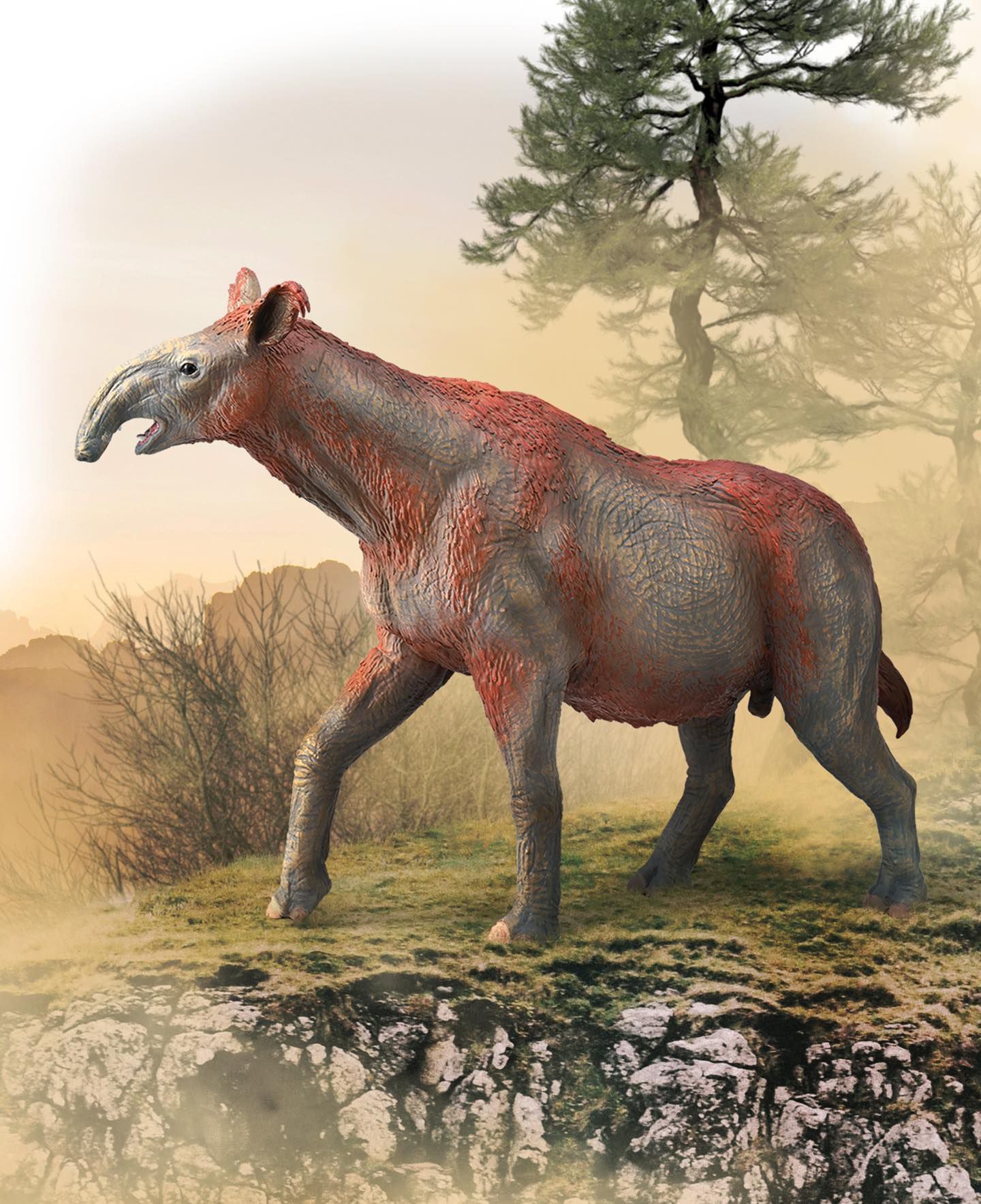 PARACERATHERIUM DELUXE COLLECTA 2022 MAMÍFERO PRÉ-HISTÓRICO - Dinoloja ...
