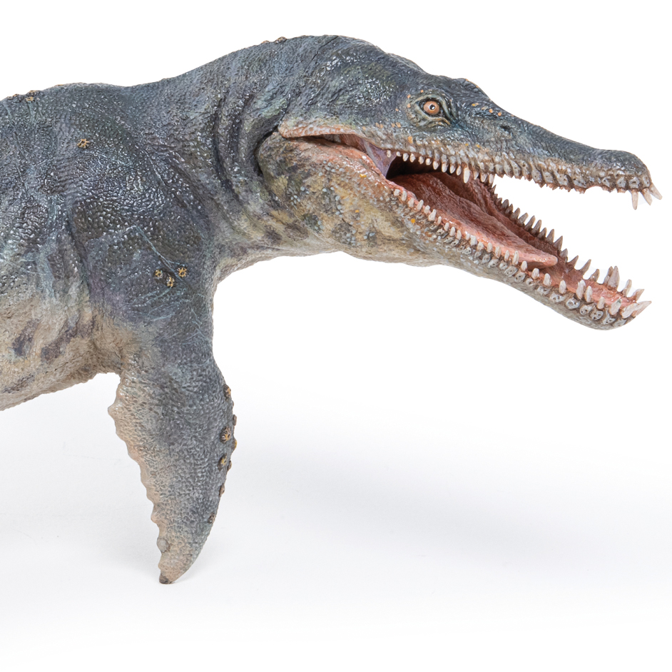 KRONOSAURUS PAPO MINIATURA RÉPTIL MARINHO BRINQUEDO IMPORTADO MOSASAUR - Dinoloja - A melhor ...