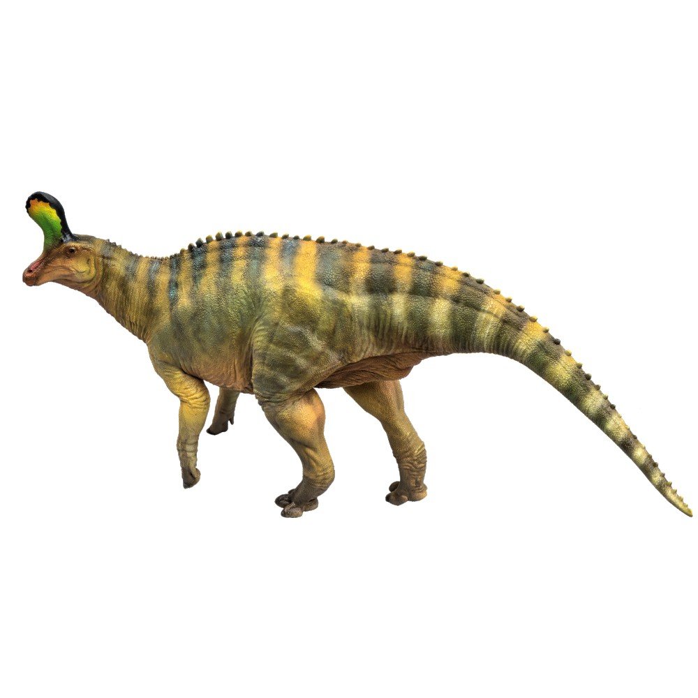 TSINTAOSAURUS PNSO XIAOQIN RÉPLICA DE DINOSSAURO COLECIONÁVEL TSINTAOS ...
