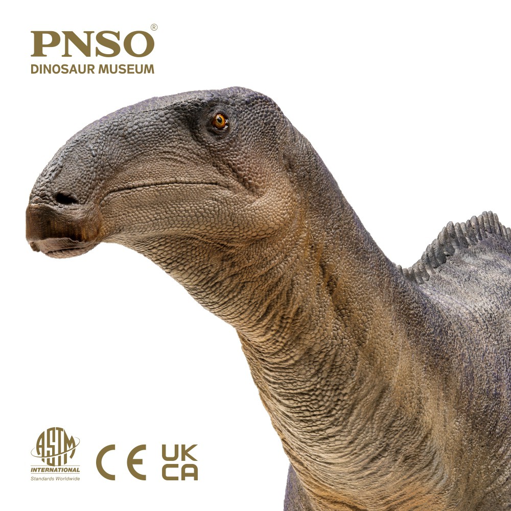 IGUANODON PNSO XIAOQIN RÉPLICA DE DINOSSAURO COLECIONÁVEL IGUANODONTE ...